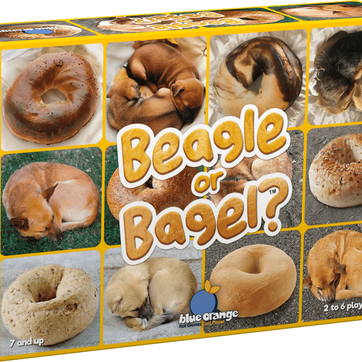 Beagle or Bagel? – Board Game Bliss