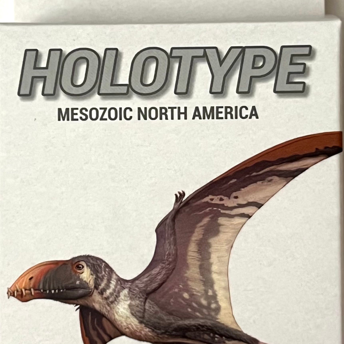 Holotype: Pterosaur Mini-Expansion – Board Game Bliss
