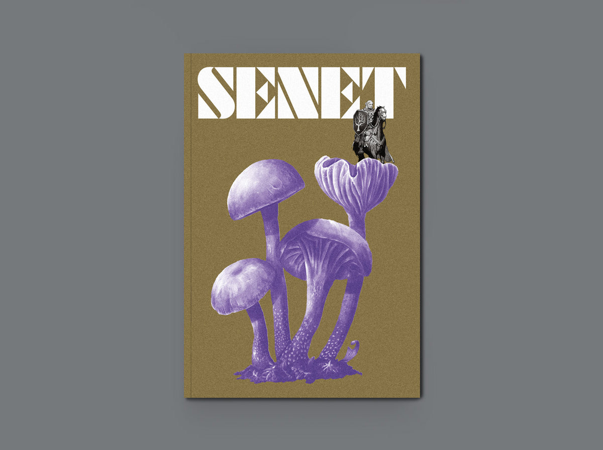Senet Magazine - Issue 12: Autumn 2023 – Board Game Bliss