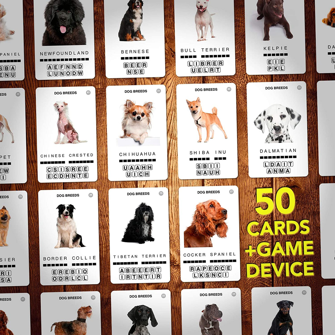 100 PICS - Dog Breeds – Board Game Bliss