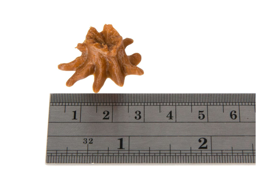 Broken Token - Stump Tokens & Board Game & Board Game Bliss