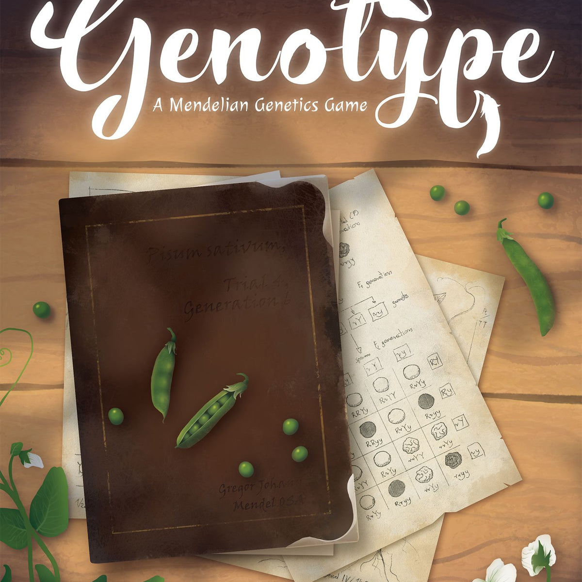 Genotype: A Mendelian Genetics Game (Retail Edition) – Board Game Bliss